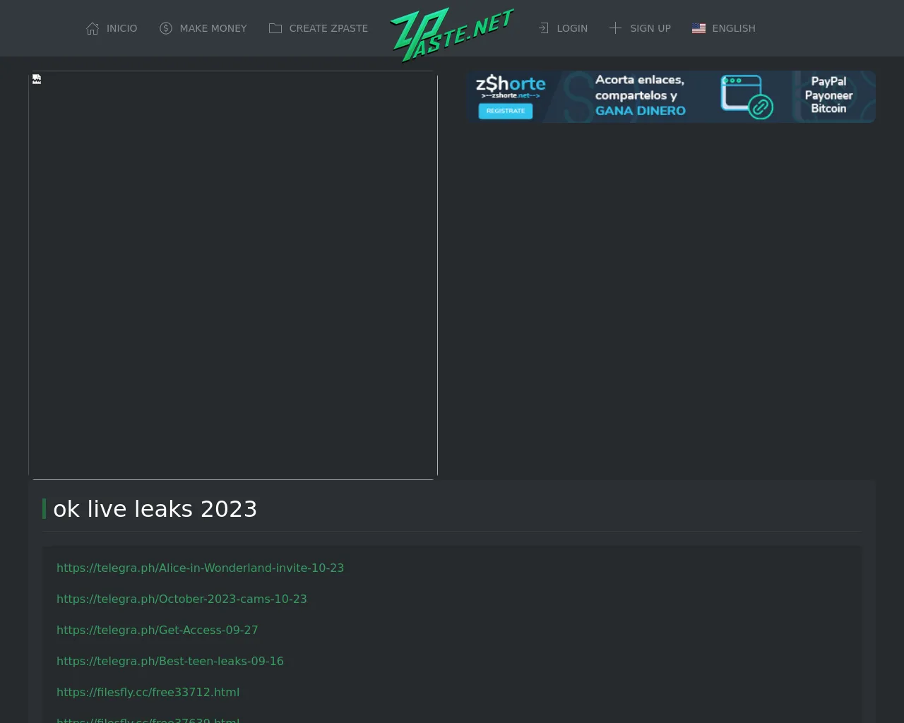 Report - zpaste.net/p/9wem4