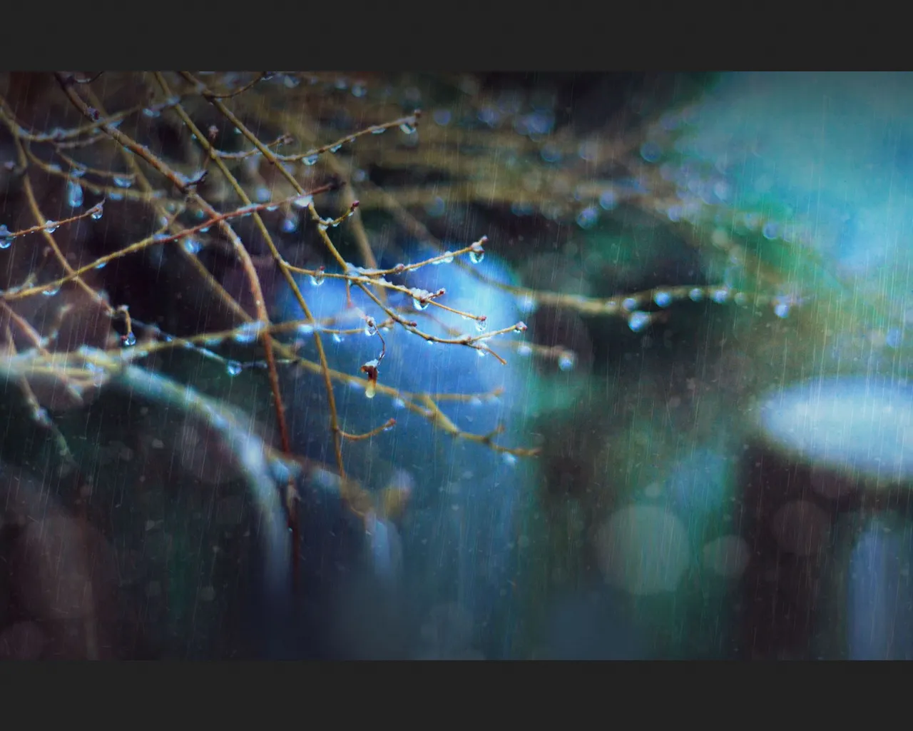 Report - img-s-msn-com.akamaized.net/tenant/amp/entityid/AA2FBqu.img