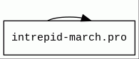 Report - intrepid-march.pro/
