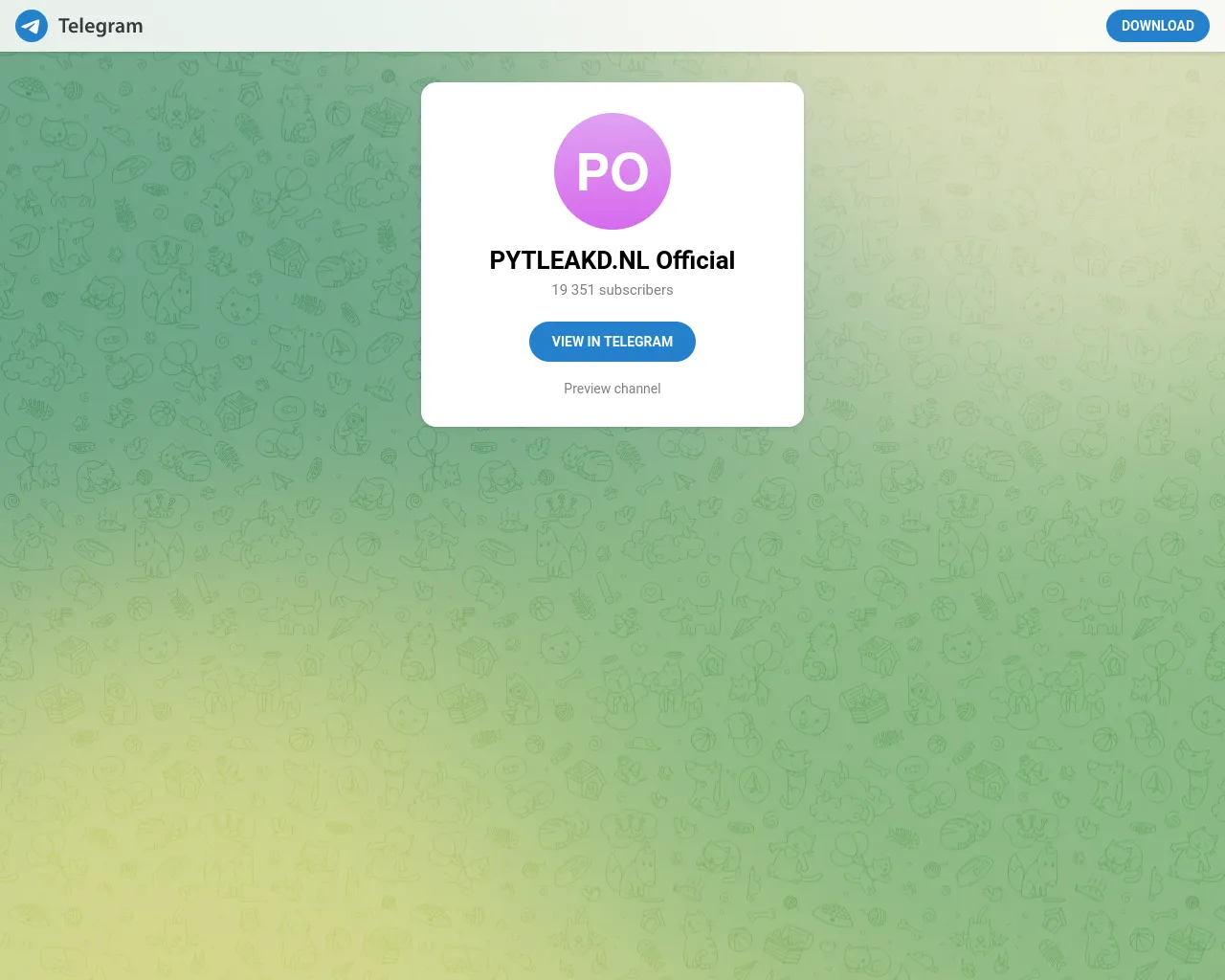 Report - pytleakd.nl