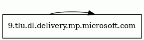 Report - 9.tlu.dl.delivery.mp.microsoft.com