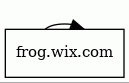 Report - frog.wix.com