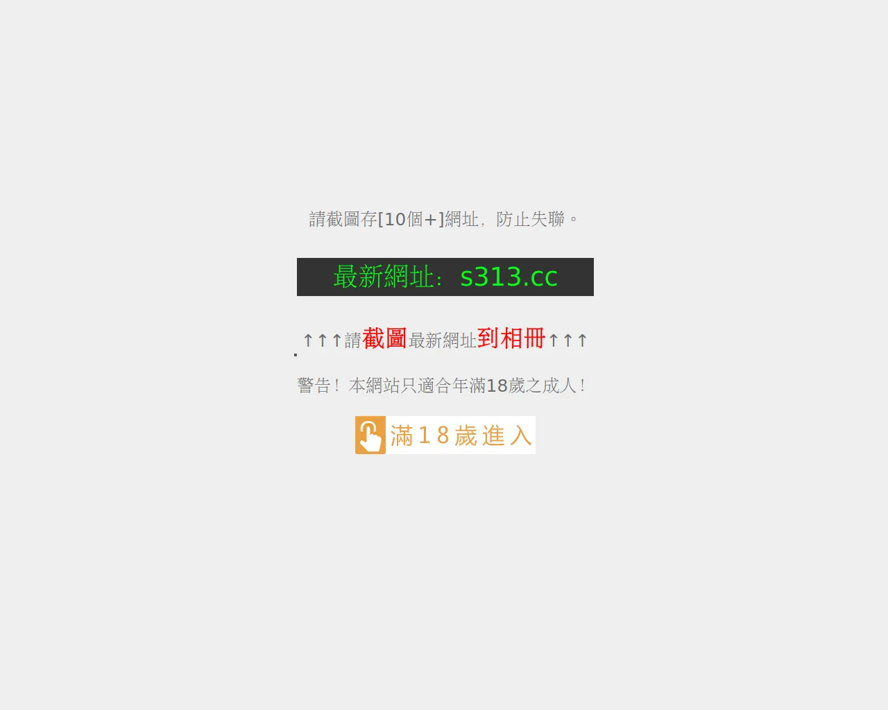 Report - s313.cc